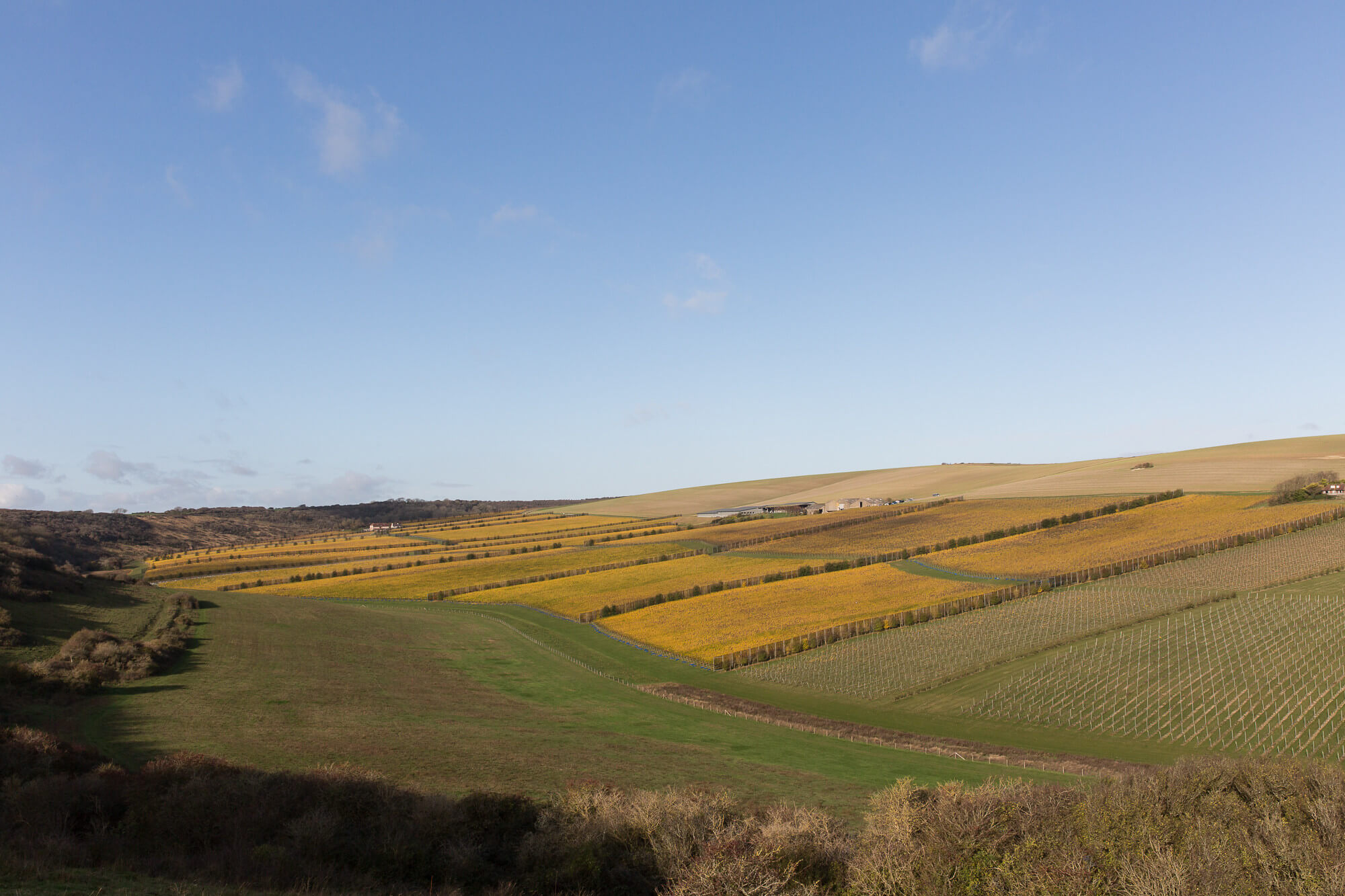 Visit Rathfinny Wine Estate | Home of Sussex Sparkling