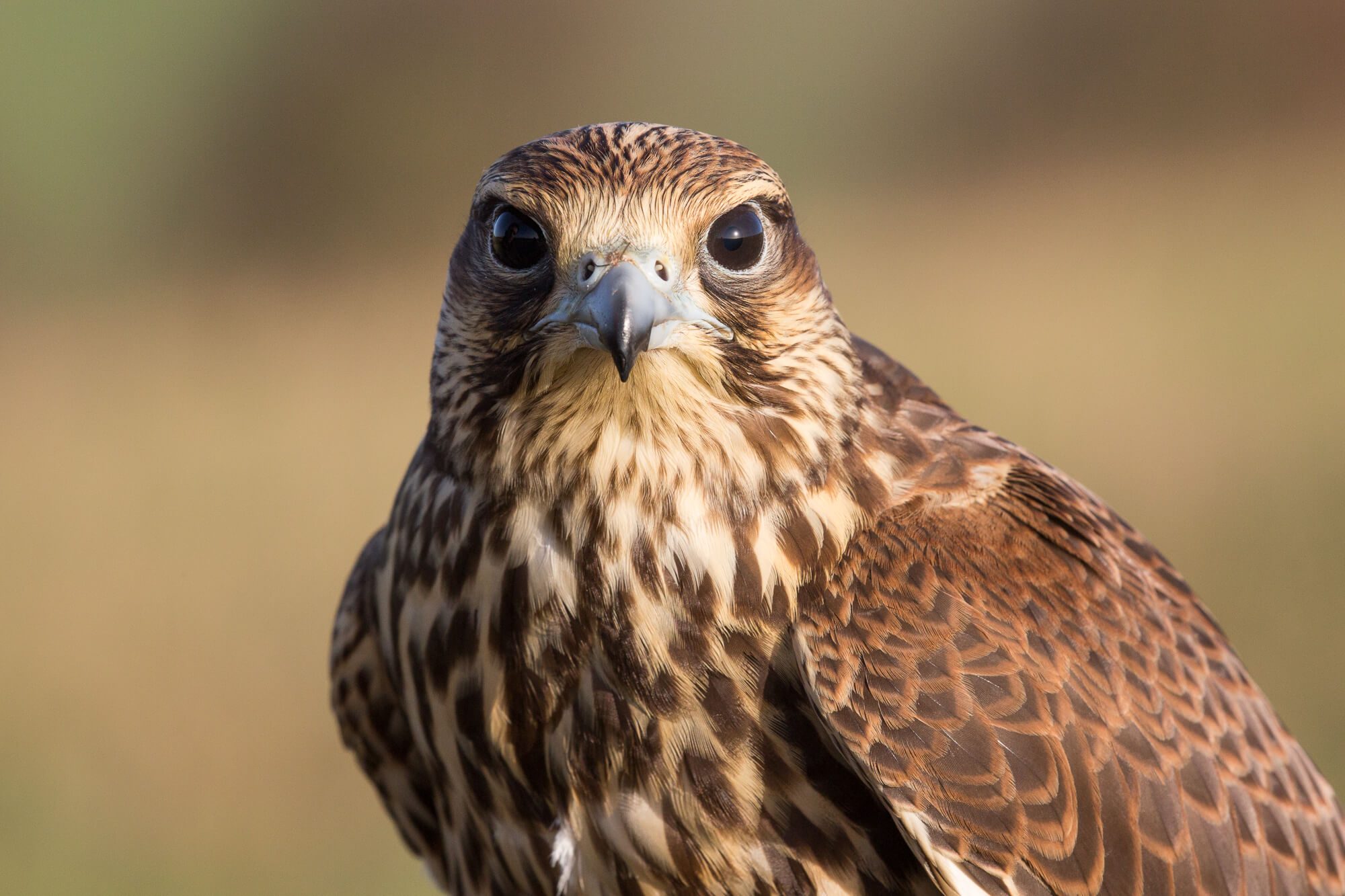 A Different Take on Sustainability