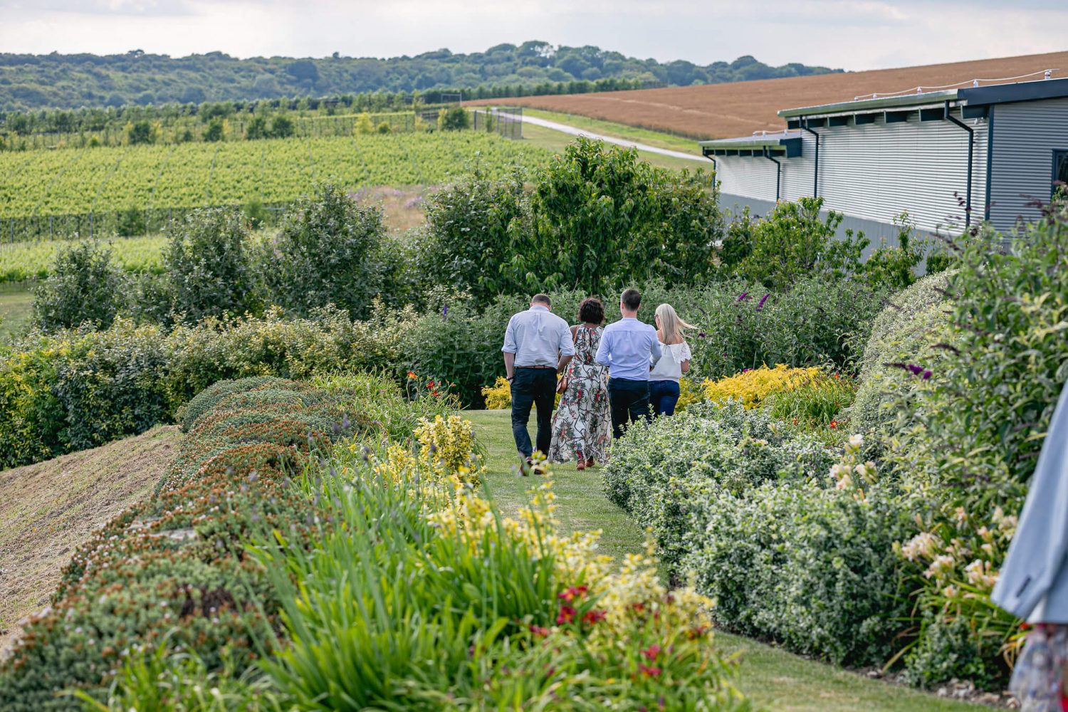 Rathfinny Wine Estate, Alfriston, Sussex